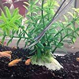 CNSTAR Aquarium Plants Tools, Aquascaping Tweezers Scissor Spatula Tool ...