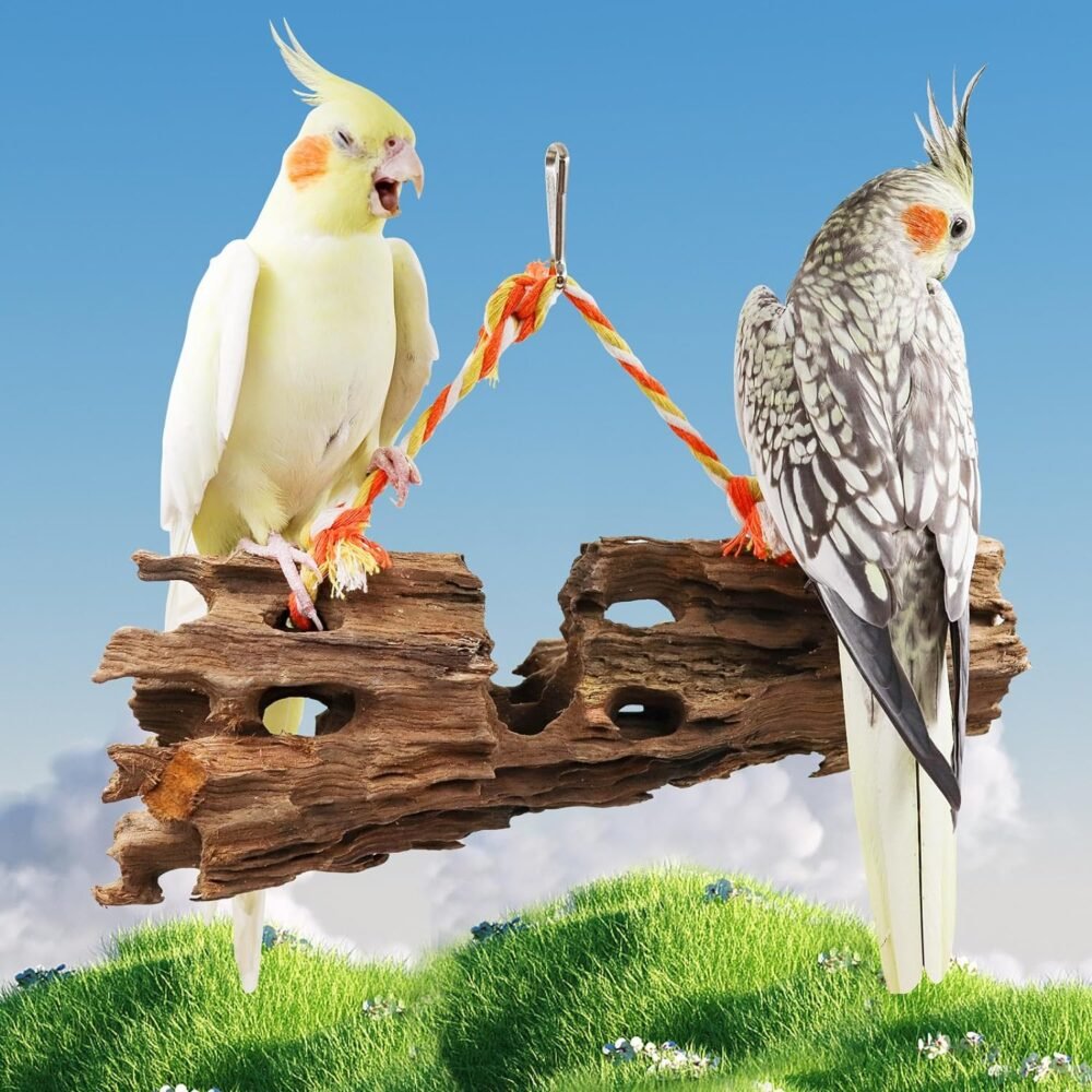2 Pack Bird Swing Toys Review - Driftwood 4 Us